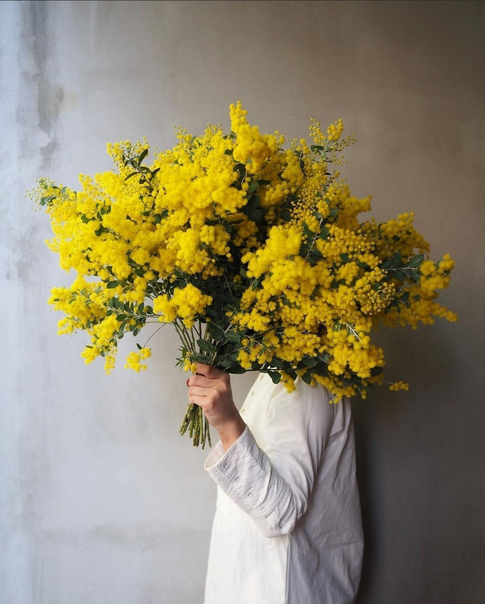 February — spring is knocking – Jansen Home